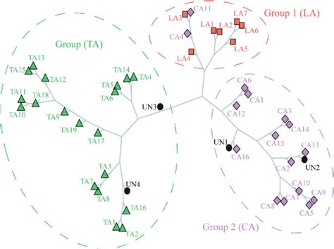 Plot Of Q Mode Cluster Analysis Download Scientific Diagram