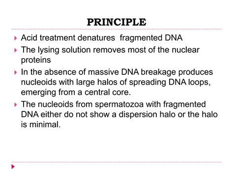 The Sperm Chromatin Dispersion Test Ppt