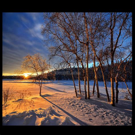 사진 사진 무료 다운로드 Lovepik