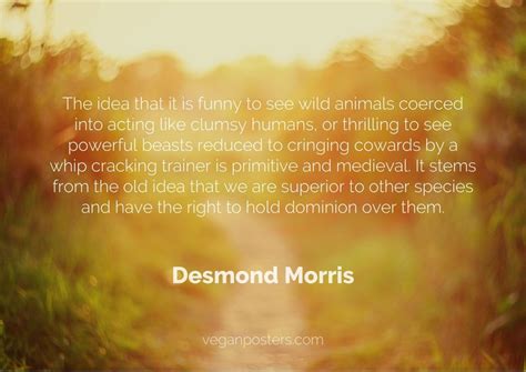 The Idea That It Is Funny To Vegan Posters
