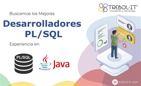 Desarrollador Plsql Trebol It