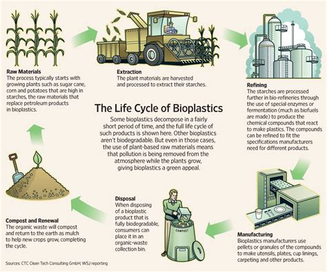 Bioplastic Life Cycle Biodegradable Products Nature Quotes