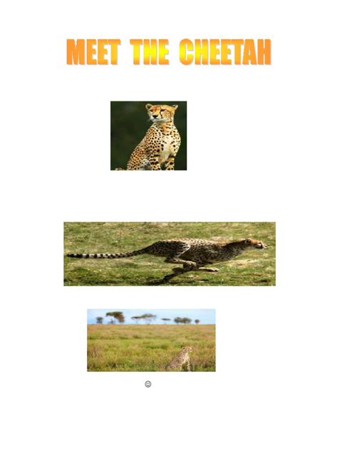 About Cheetas Pdf