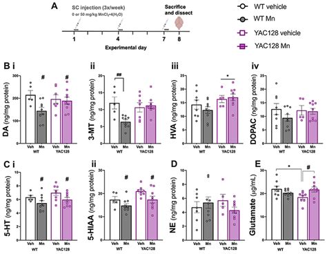 Manganese Induced Hyperactivity And Dopaminergic Dysfunction Depend On