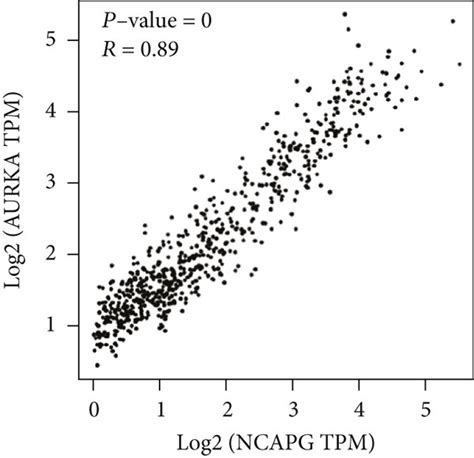 Atac Seq Validation A Identification Of Open Chromatin Loci In 24 Download Scientific