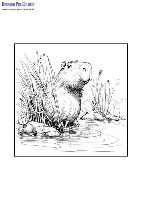 Capivara Para Colorir De 40 Desenhos Para Imprimir E Pintar