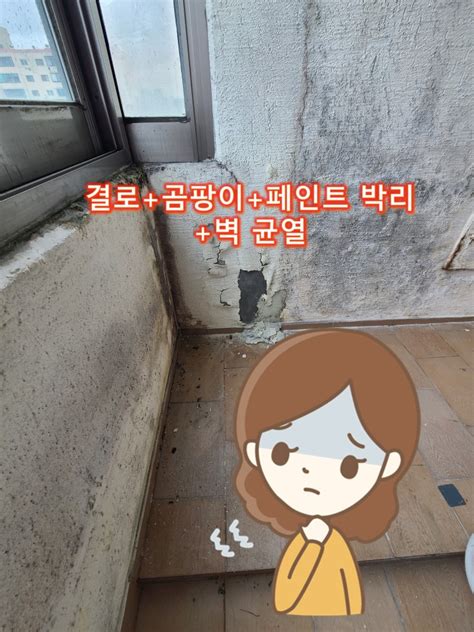 겨울만 되면 베란다 벽 결로 줄줄 시커먼 곰팡이에 페인트 박리까지베란다 결로방지 고성능 단열시트 써멀라이너 접착 후 에어로젤 페인트 마감 네이버 블로그