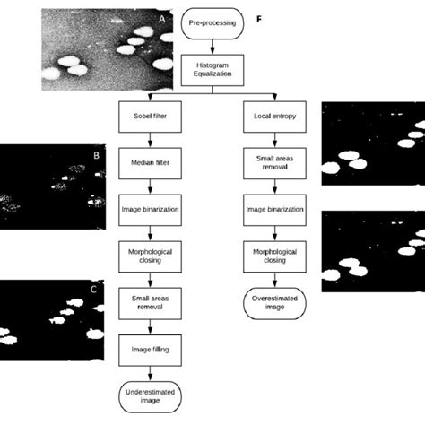 A Image After Histogram Equalization B Image After Binarization