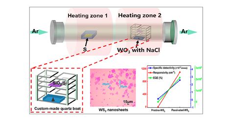 Monolayer Ws2 Nanosheets Passivated With Hfo2 For Enhanced Photodetectors Acs Applied Nano