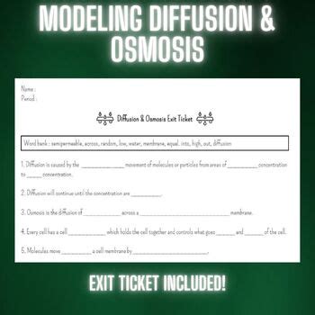 Modeling Diffusion Osmosis By Science Explorin With Mar And Lauren