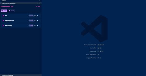 Environment Manager Qbraid