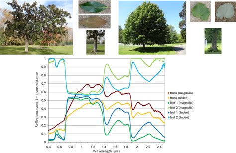 Figure 1 From Impact Of Tree Crown Transmittance On Surface Reflectance