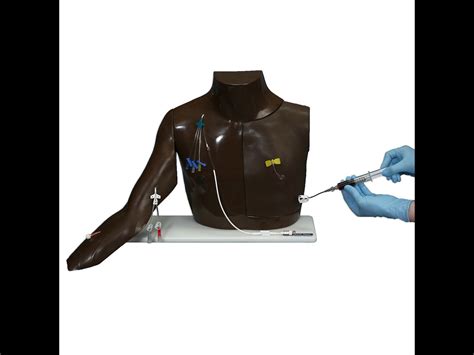 Chester Chest With Standard Arm Dst Vata Simulation Training Limbs And Things Uk