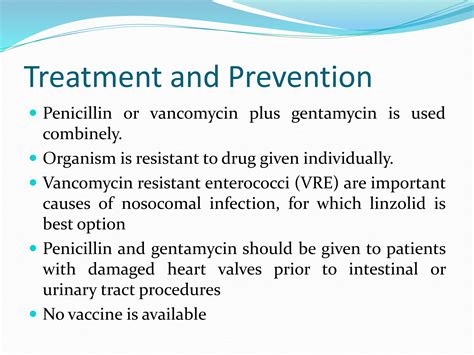 Streptococcus Microbiology Lecture 04 Kmu Ppt