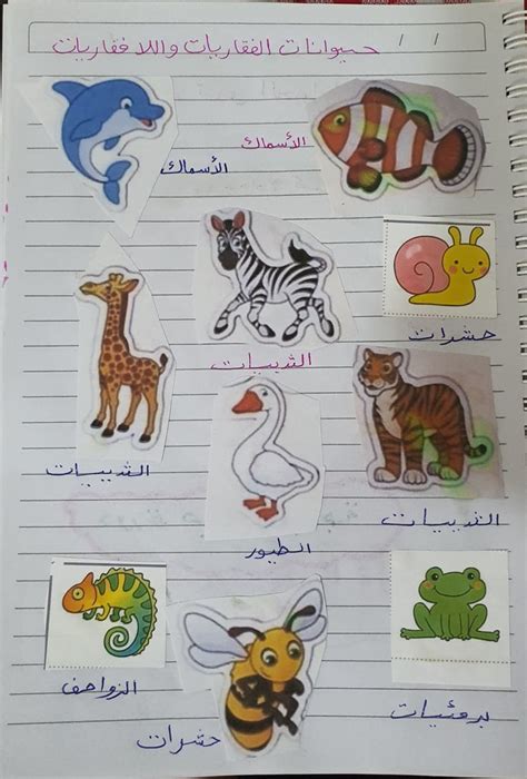 الحيوانات الفقارية و اللافقارية