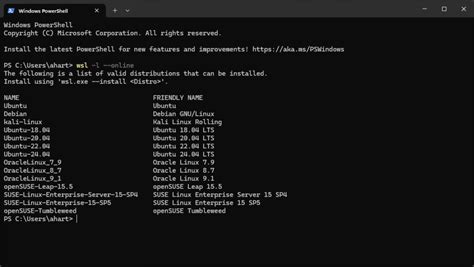 Windows Linux Subsystem 2