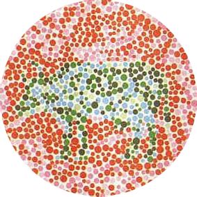 Uncovering Red Green Colorblindness Diagnosis Methods And Tests Covisn