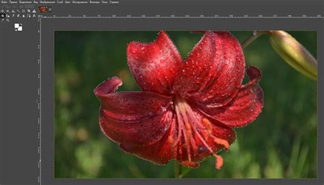 Как убрать фон в Gimp Photo Helping