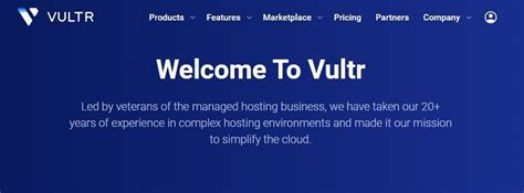 The Ultimate Vultr Cloud Hosting Guide Everything You Need To Know 6