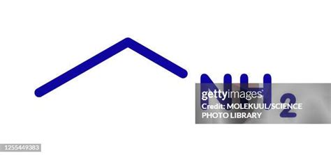 Ethylamine Photos And Premium High Res Pictures Getty Images