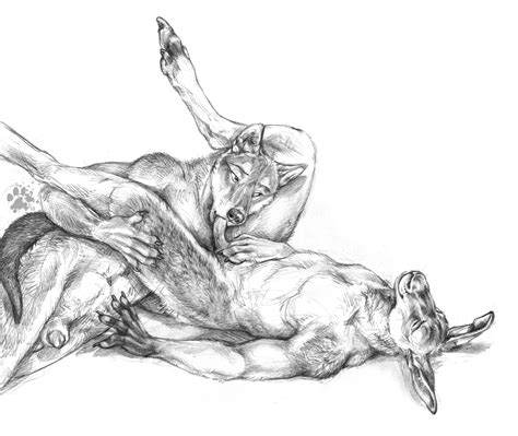 Rule 34 Anthro Balls Blotch Canine Cum Fur Furry Furry Only Gay