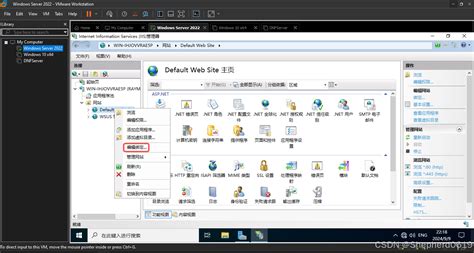 【iis实战】err ssl key usage incompatible csdn博客