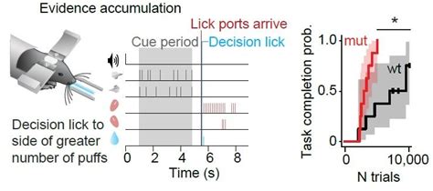 update to our preprint cerebellar acceleration of learning in an