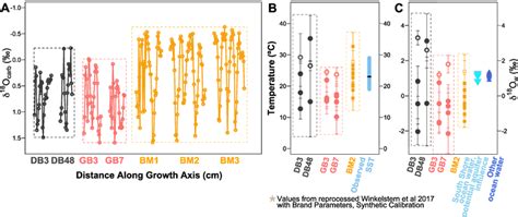 A High Resolution δ¹⁸ocarb Profiles From Fossil And Modern Shells