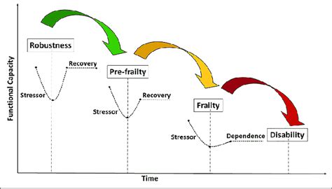 The Cascade Of Functional Decline In Older Adults From Independence Download Scientific