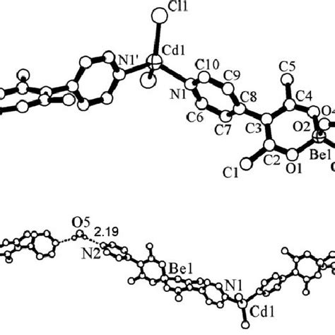A Tetrahedral Coordination Environment Of The Cadmium Ii Ion Download Scientific Diagram