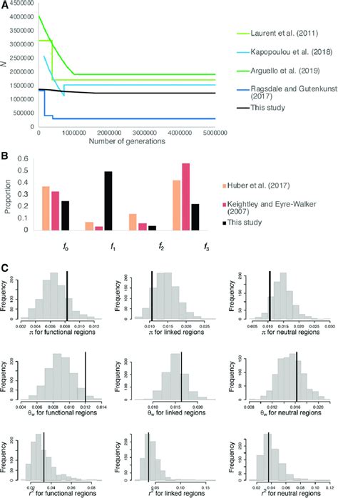 Joint Inference Of Demography And Purifying Selection In The Zambian