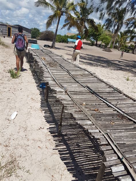 20170127100447 The Dugong And Seagrass Conservation Project