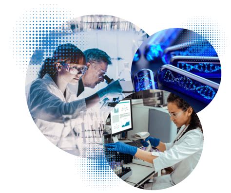 Usp 1663 And 1664 Gateway Analytical Laboratory