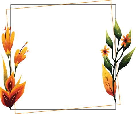 Frame Flower Floral Flowers Border Illustration Design Vector