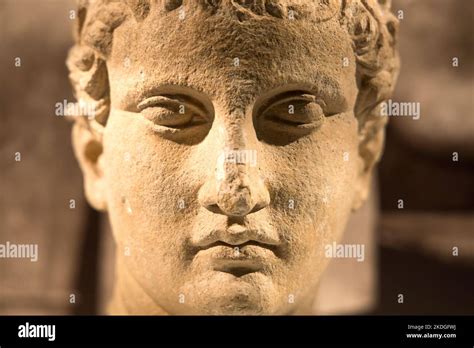 Leiden The Netherlands Jan 04 2020 Closeup Limestone Head Bust Of Man Ancient Cyprus