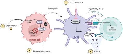 Major Sting Combinatorial Approaches With Additive Or Synergistic