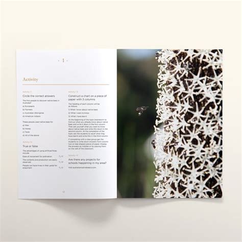 Australian Native Stingless Bees Hives For Sale Stingless Bees Australia — The Australian Native