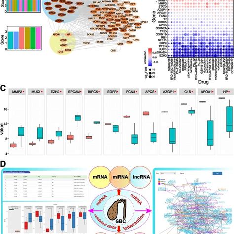 A Primary Analysis Of Experimentally Supported Gbc Associated Proteins Download Scientific