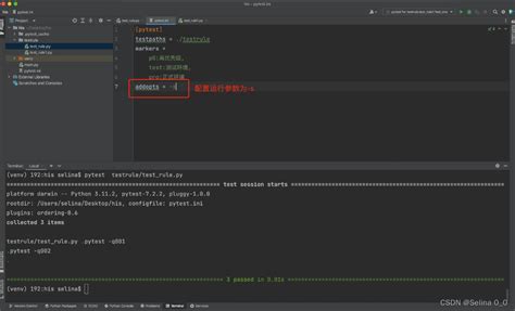 二、pytest接口自动化教程 pytest运行方式，断言类型，配置项和运行参数的使用 pytest 接口自动化详细教程 csdn csdn博客