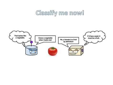 Ppt Knn Assignment Powerpoint Presentation Free Download Id12108490