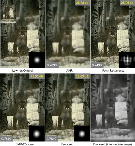 super resolved images along with values of ssim and psnr by anr [24] download scientific