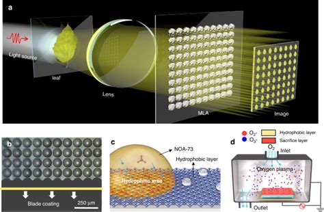 Mold Free Self Assembled Scalable Microlens Arrays With Ultrasmooth