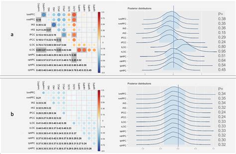 Association Between Brain Connectivity And Delayed Memory Performance
