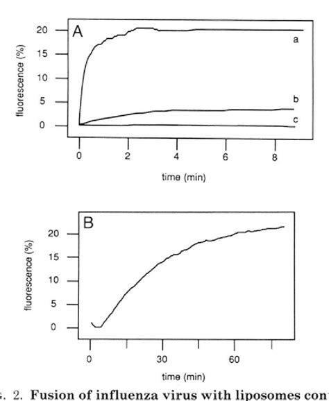 Figure 1 From The Ha2 Subunit Of Influenza Hemagglutinin Inserts Into