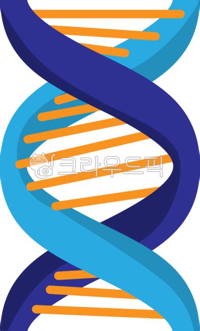 염색체 Dna 유전자 분자구조 분자 사진이미지일러스트캘리그라피 웹곰작가