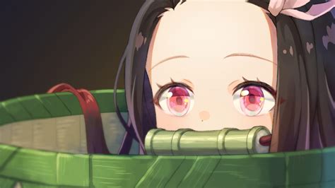 Nezuko 4k Wallpapers Top Free Nezuko 4k Backgrounds Wallpaperaccess