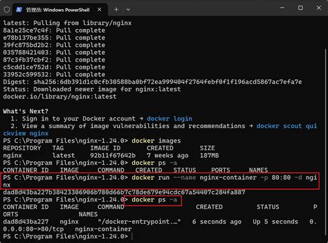 Nginx 安装指南 李钟意讲前端