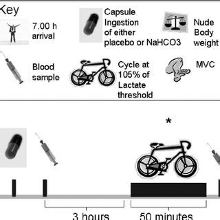 Time Sequence Of Protocol Download Scientific Diagram