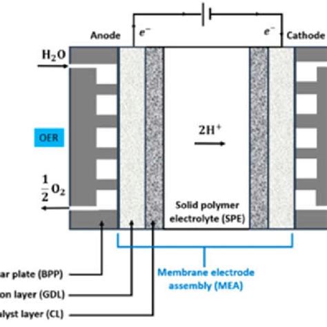 Schematic Of The Pem Electrolyzer Showing Its Main Components 34