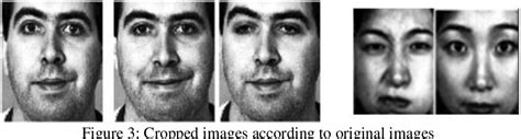 figure 3 from face recognition using random forest classifiers based on